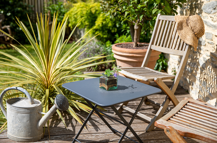 Piante e vasi: una scelta accurata è in grado di trasformare il tuo ...