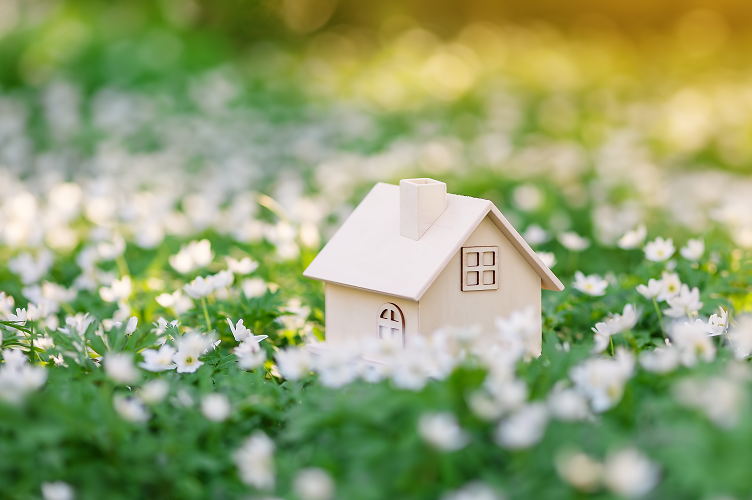 Alcune idee per decorare casa in primavera