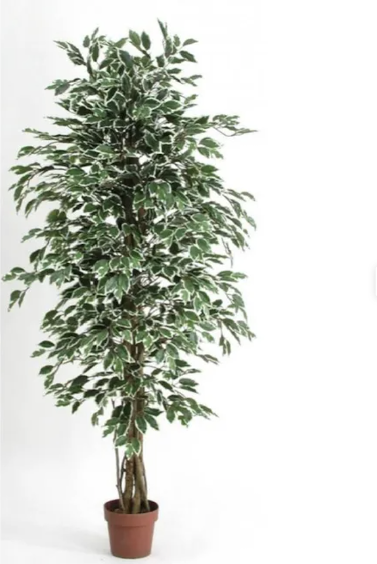 Piante finte da interno, le migliori soluzioni di Leroy Merlin