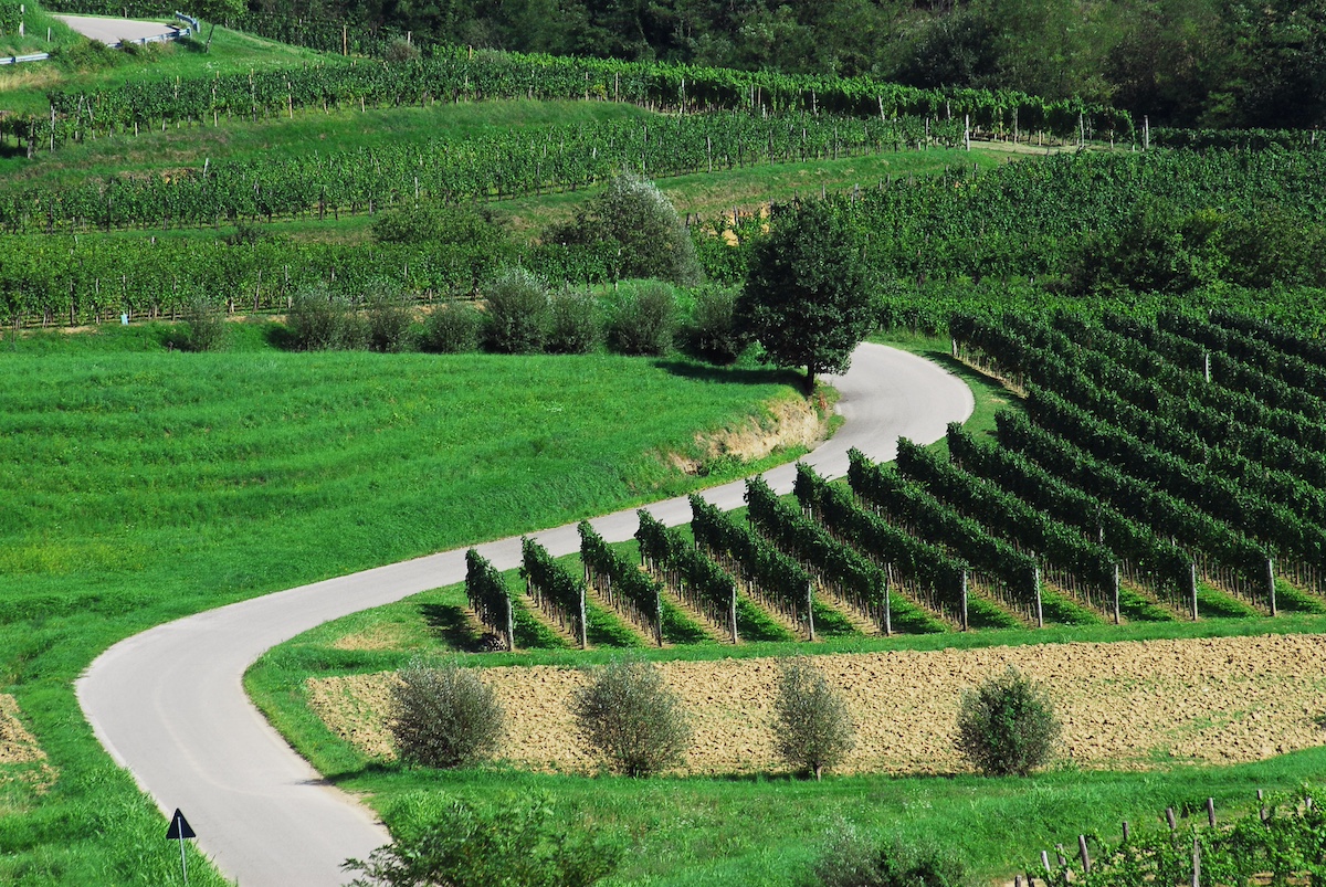 Cosa comprende il Triveneto e quali sono le Tre Venezie