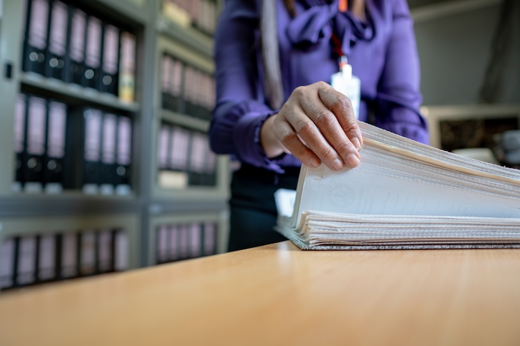 Mappale e particella sono la stessa cosa?